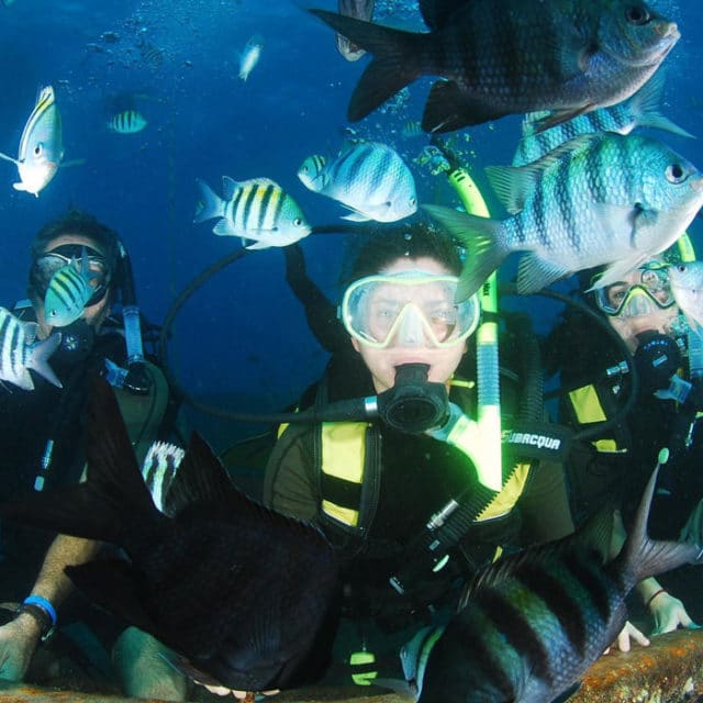 Excursiones Punta Cana - Las mejores excursiones en Punta Cana y Bayahibe