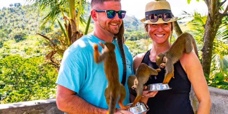 Combos Monkey Land Punta Cana - Excursiones Punta Cana